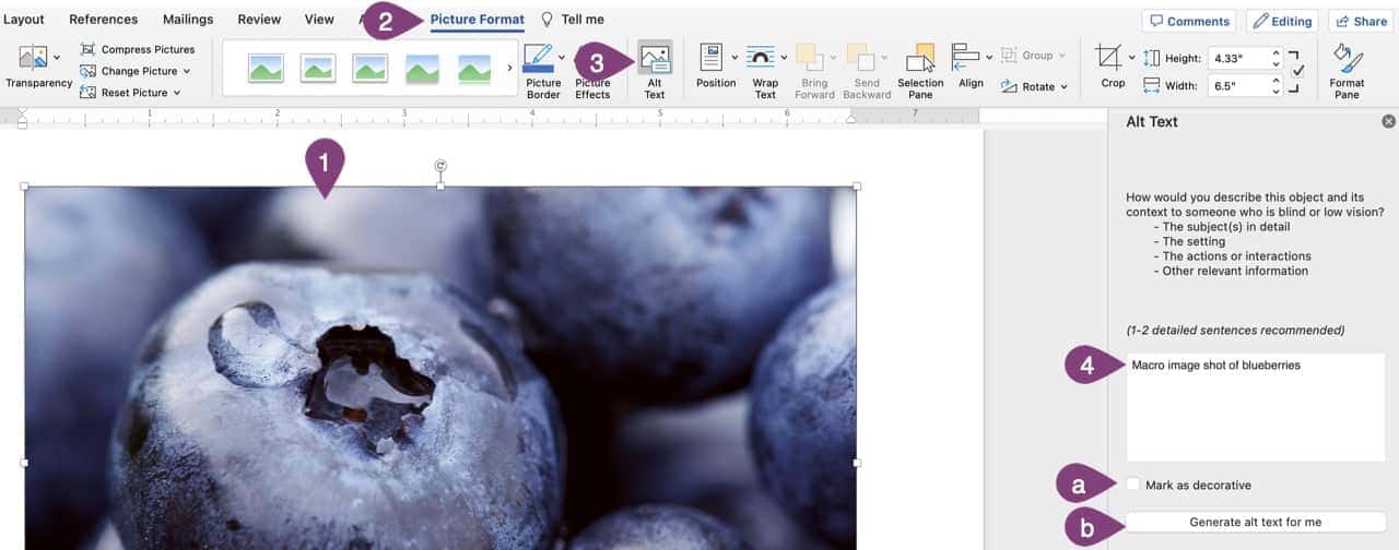 Make Your Word Documents Highly Accessible with These 12 Tasks ...