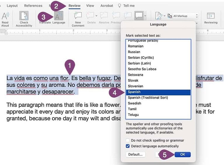 Make Your Word Documents Highly Accessible with These 12 Tasks ...