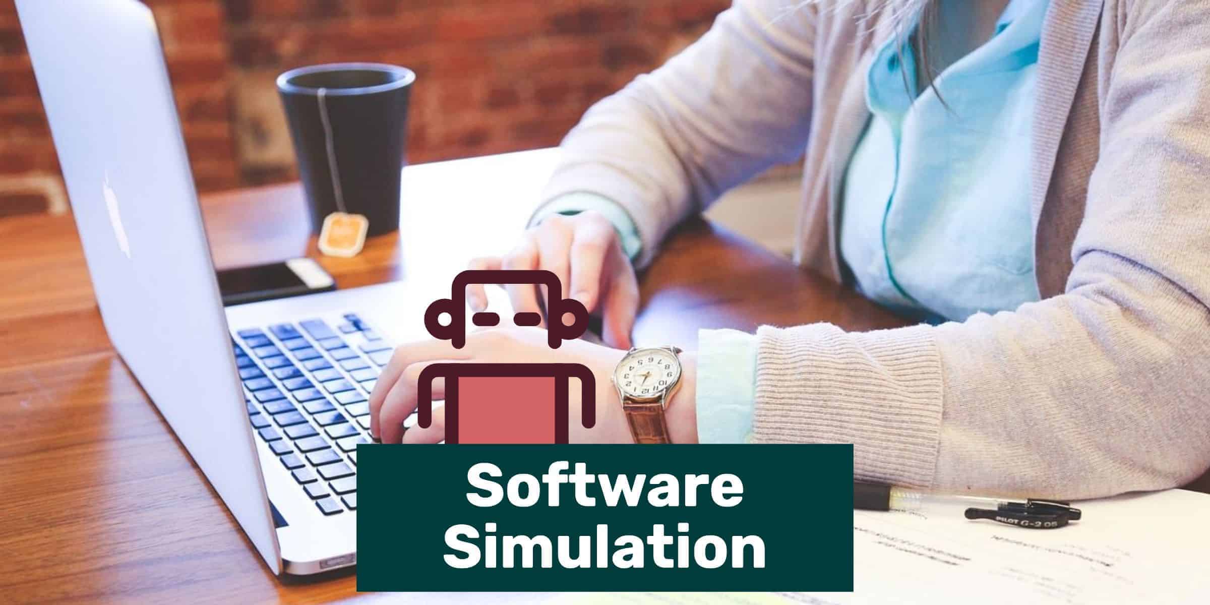 Leverage the Power of Software Simulation for Effective Software ...